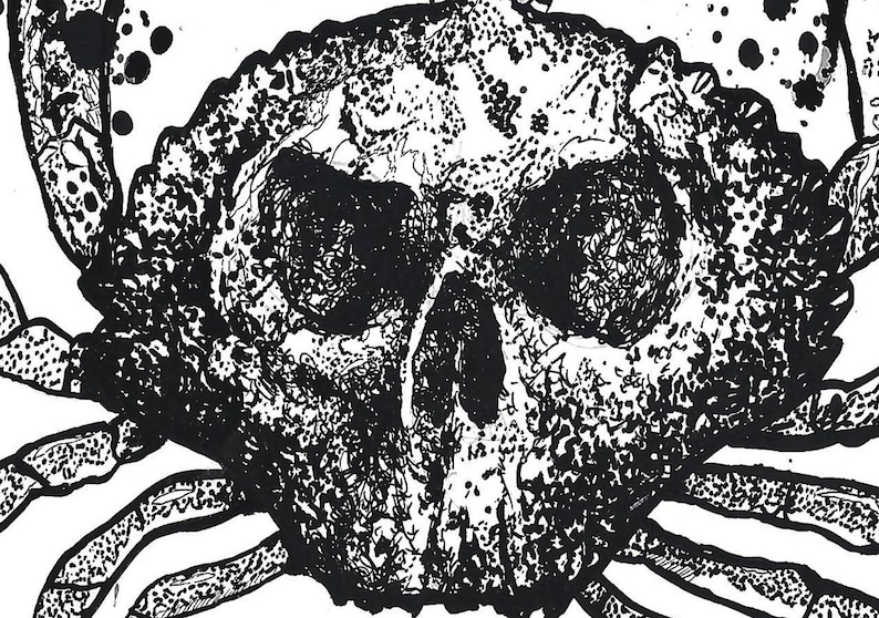 Skull Crab Ink Sketch Goth Crustacean Illustration Sea Creature ...