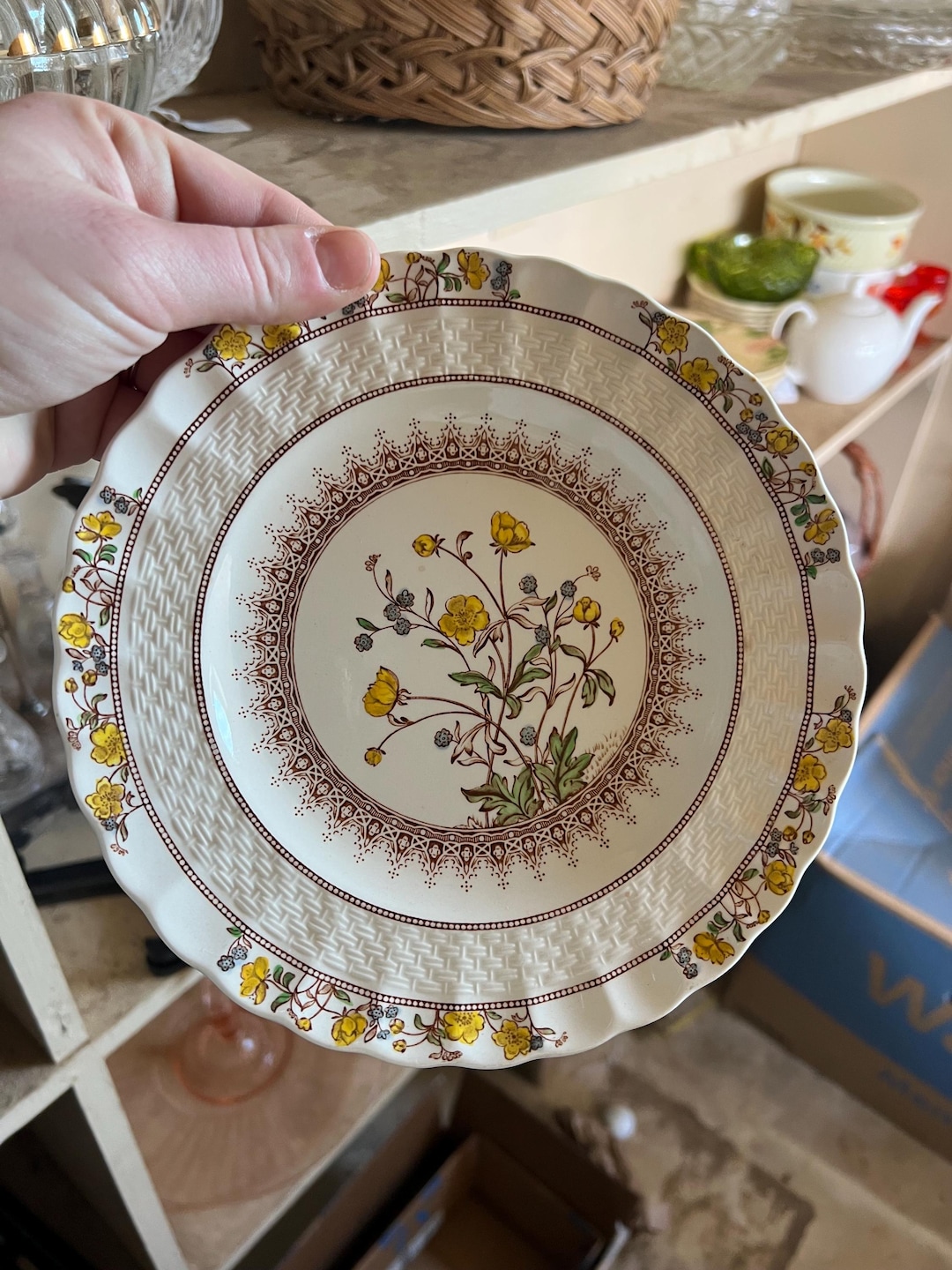 Vintage Spode Luncheon or Bread and Butter Plate Buttercup Pattern - Etsy