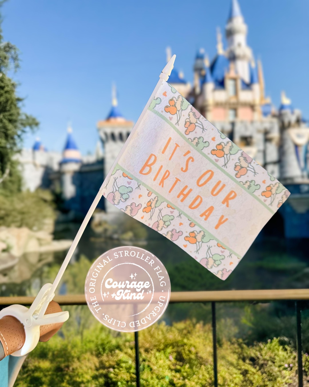 Original Stroller Flag W/ Clip | It's Our Birthday Flag | Theme Park ...