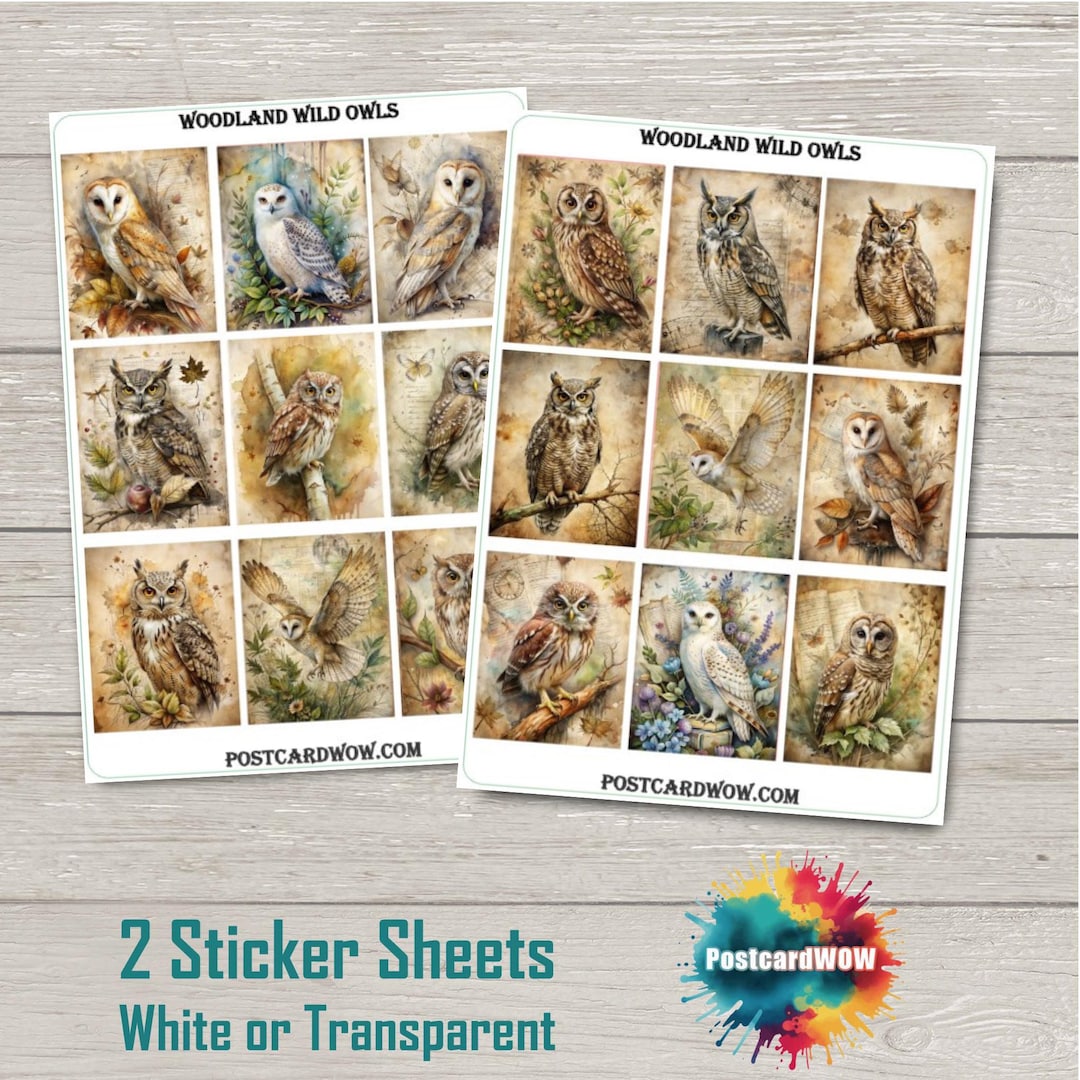 Woodland Wild Owls - Full Box Sticker Set - Planner Stickers - Etsy