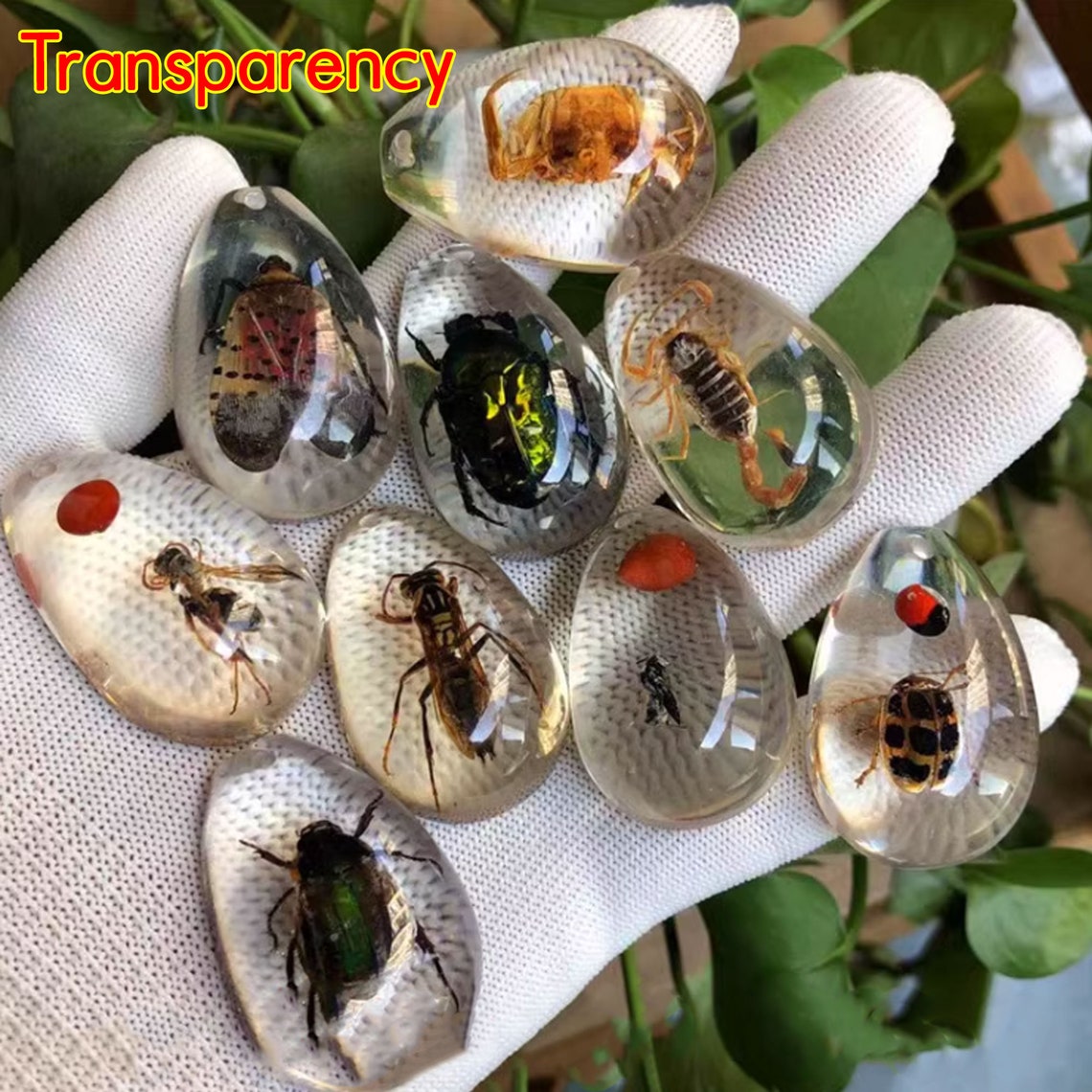Real Beetles Resin Insect Specimen, Mixed Real Beetles Taxidermy Insect ...