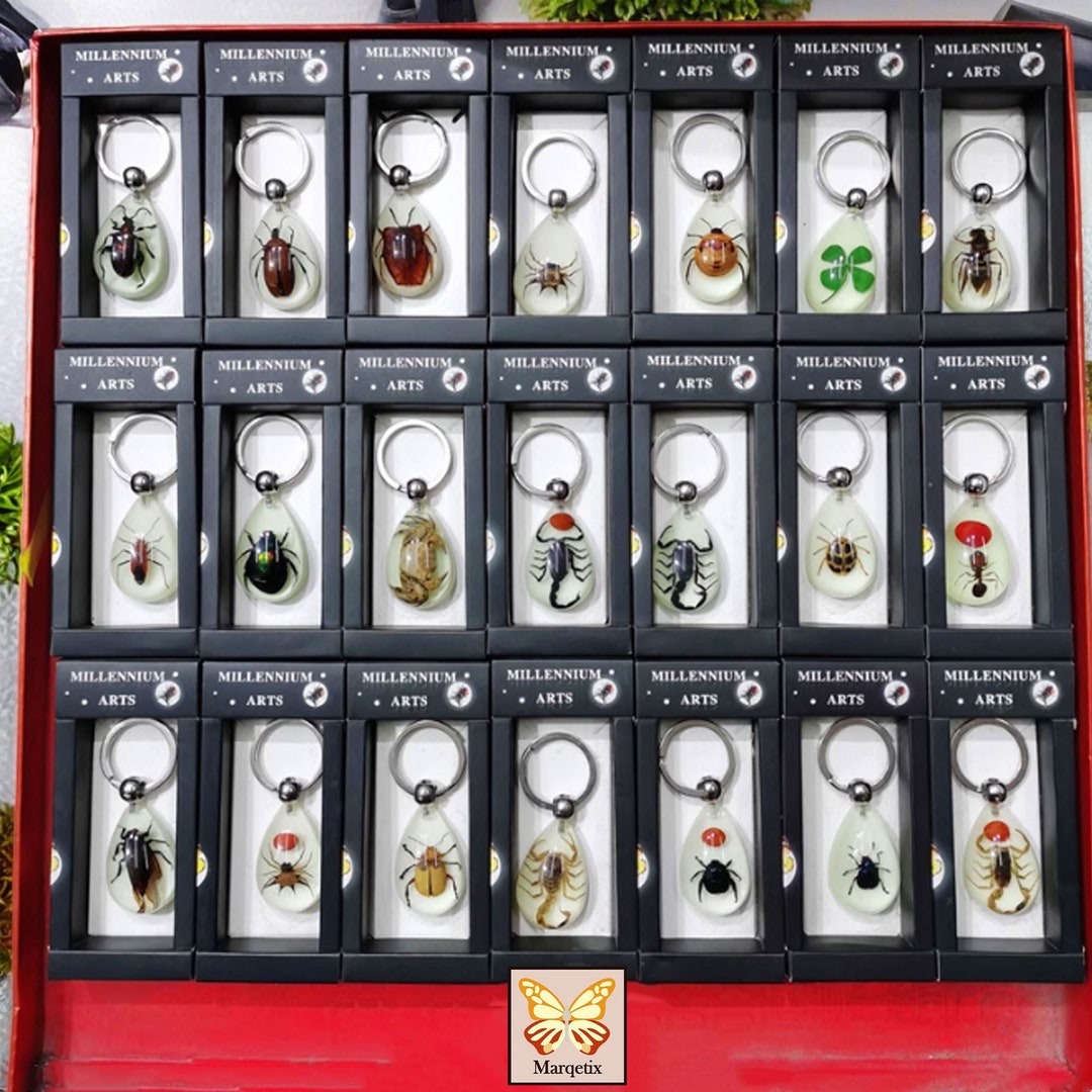Real Resin Beetles Specimen, Real Insects in Lucite Keychain, Beetles ...