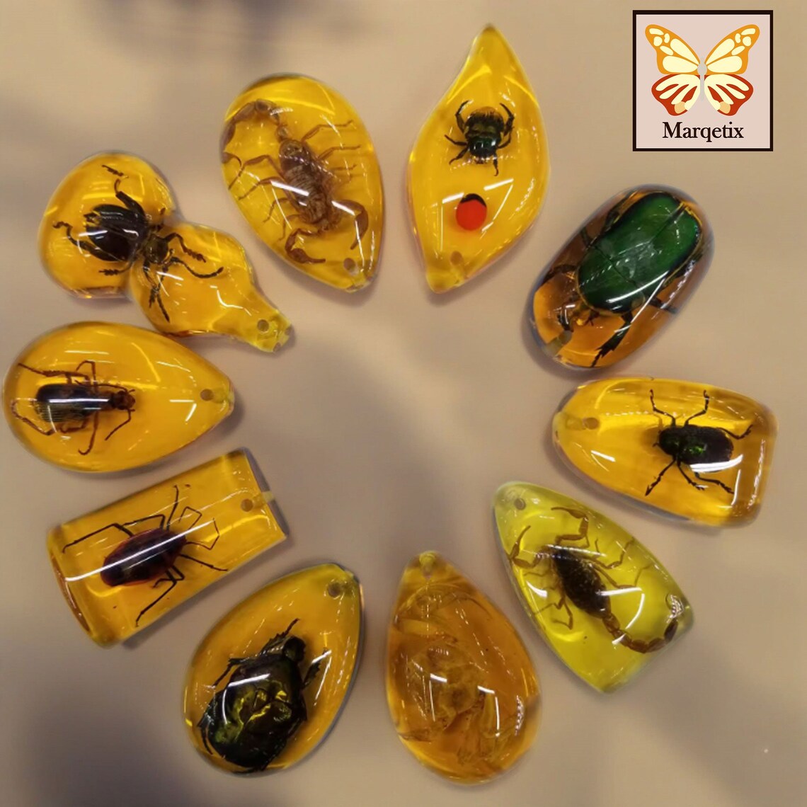 Real Beetles Resin Insect Specimen, Mixed Real Beetles Taxidermy Insect ...