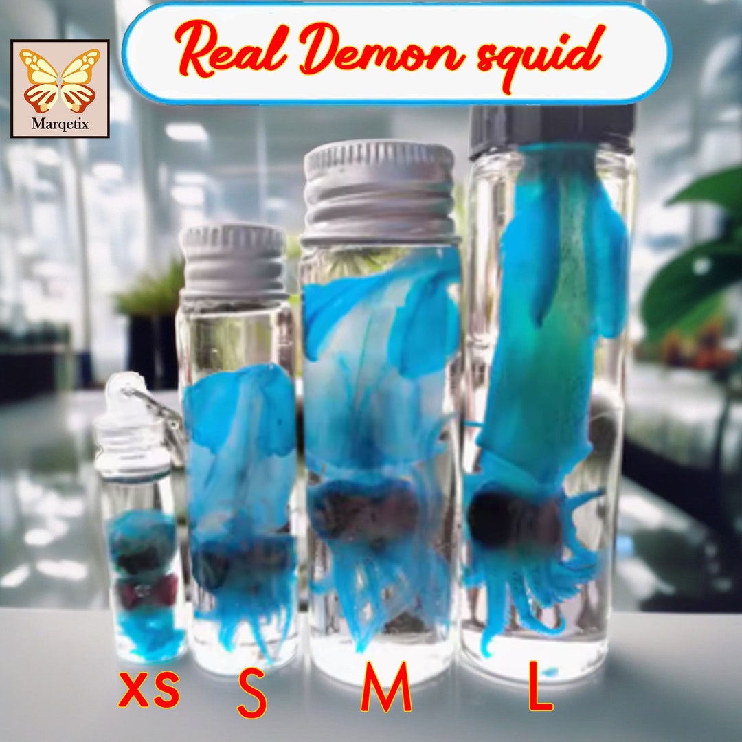 Real Transparent Stained Squid Wet Specimens, Real Squid Specimens ...