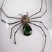 Real Spider Insect Specimen, Spider Specimen With Frame, Gem Spider ...
