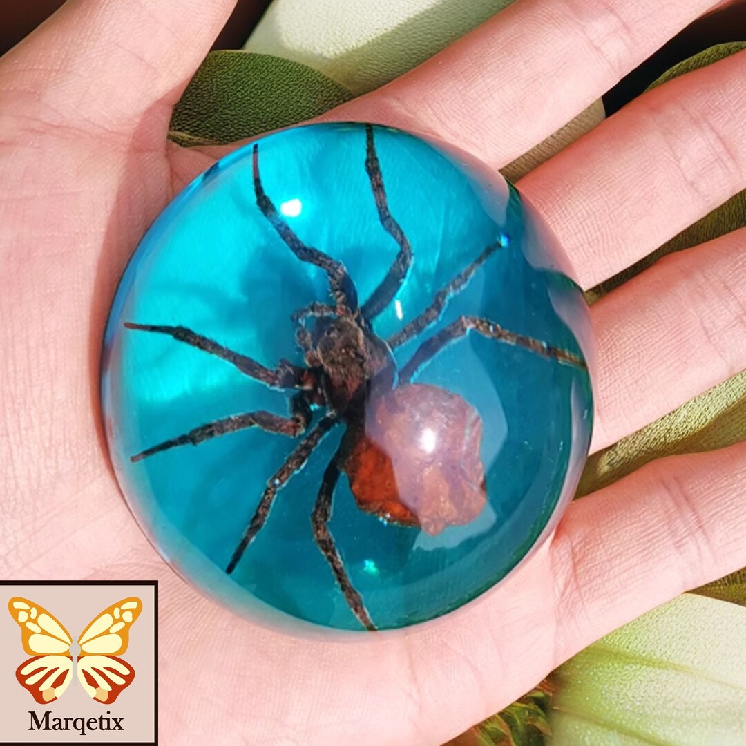 Real Spider Resin Insect Specimen, Scorpion Real Insect, Luminous Resin ...