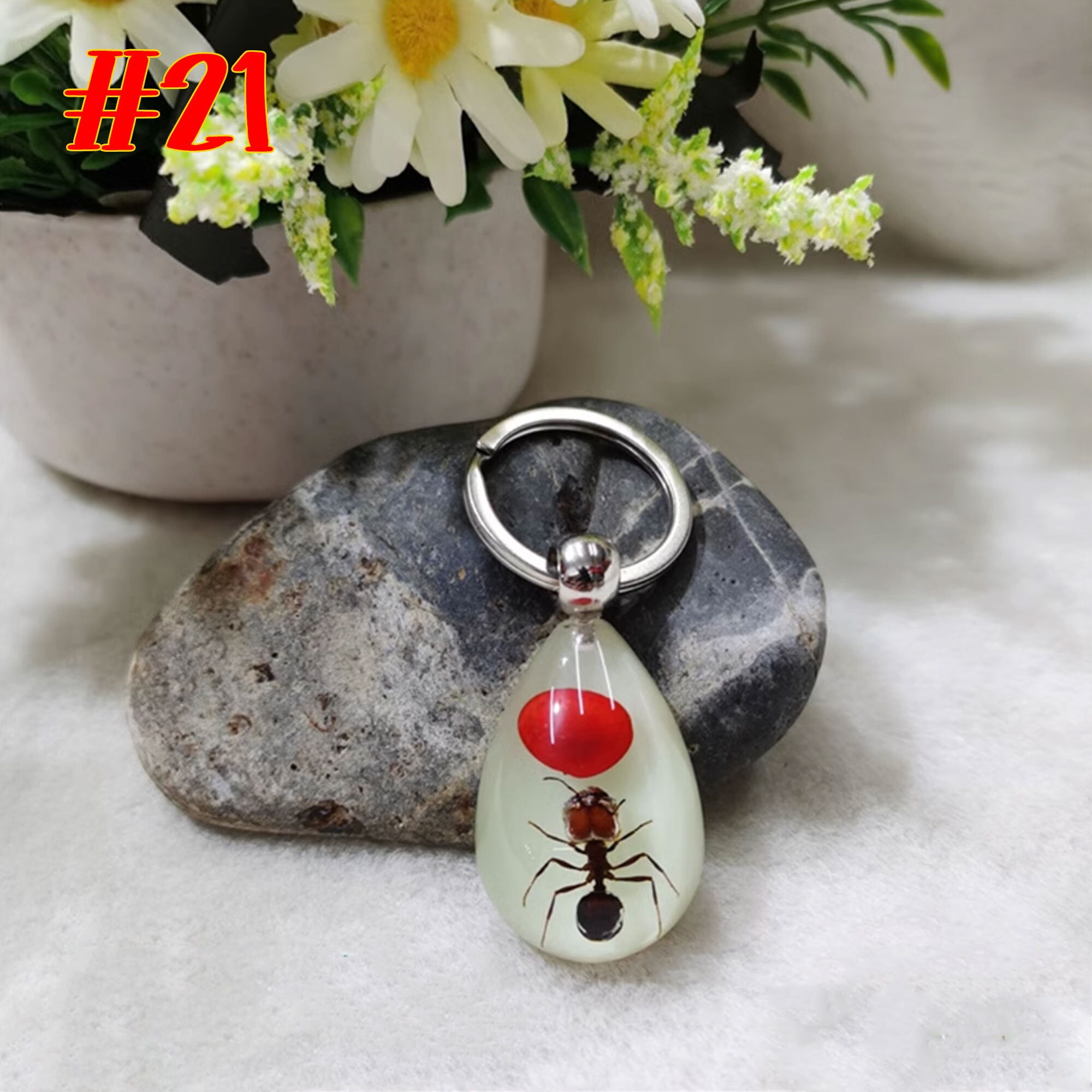 Real Resin Beetles Specimen, Real Insects in Lucite Keychain, Beetles ...