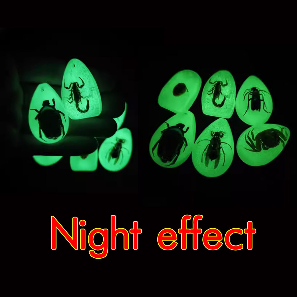 Real Beetles Resin Insect Specimen, Mixed Real Beetles Taxidermy Insect ...