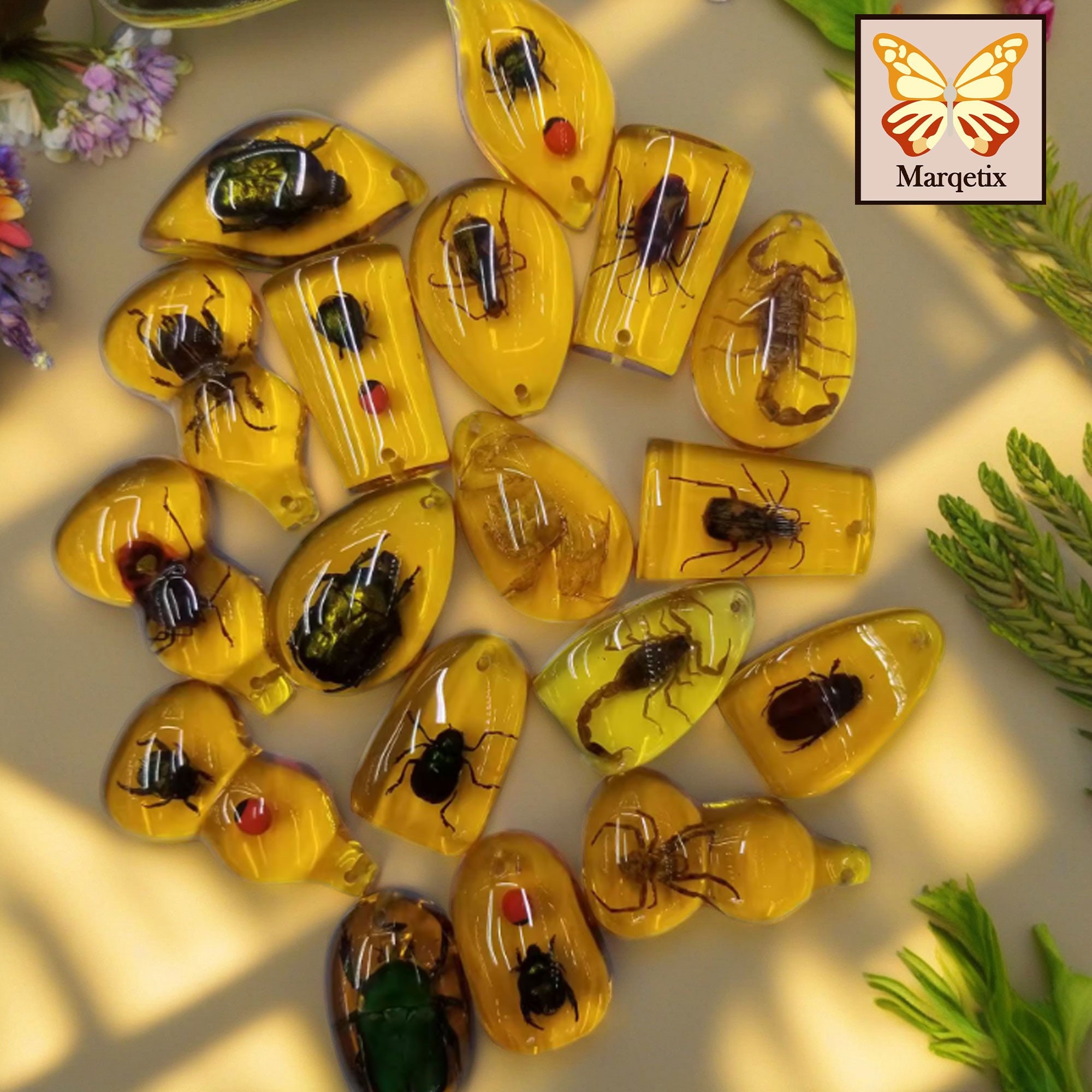 Real Beetles Resin Insect Specimen, Mixed Real Beetles Taxidermy Insect ...