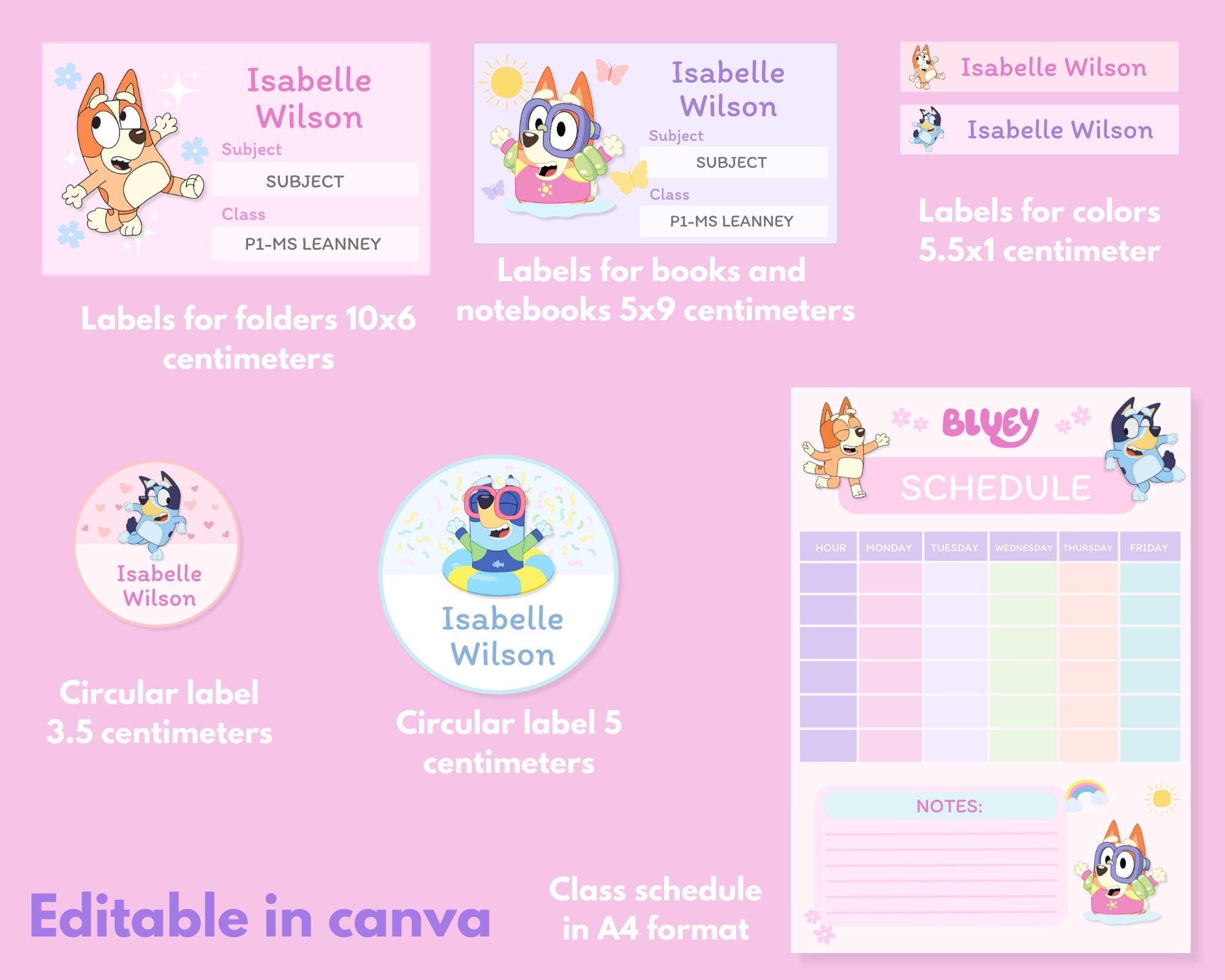 Printable Bluey School Name Tags. Bluey Girl Name Tags. Name Labels for ...