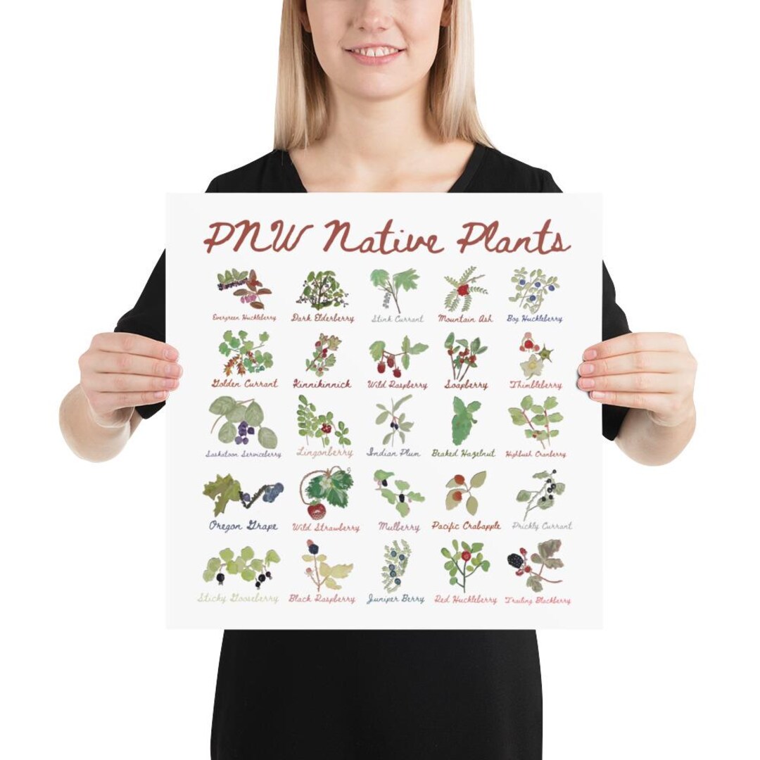 PNW Native Plants Watercolor Poster: Botanical Illustrations, Pacific ...