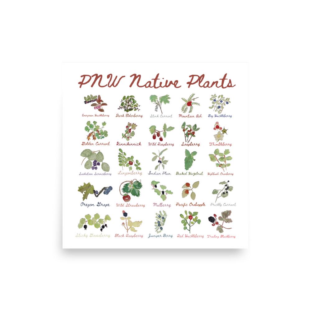 PNW Native Plants Watercolor Poster: Botanical Illustrations, Pacific ...