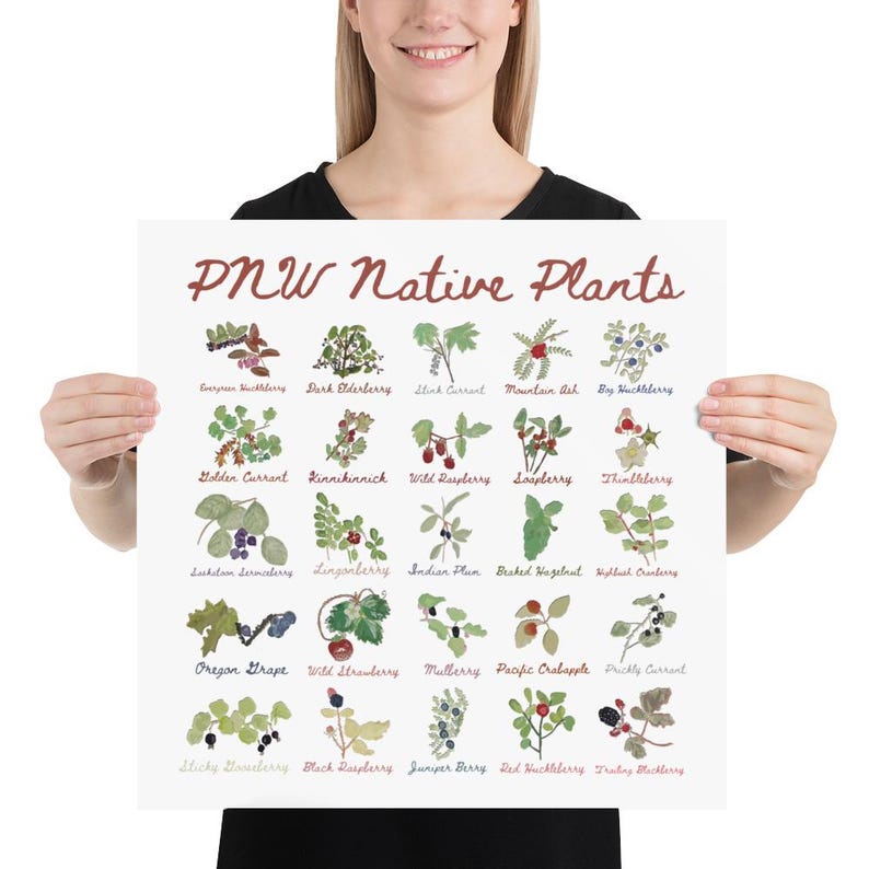 PNW Native Plants Watercolor Poster: Botanical Illustrations, Pacific ...