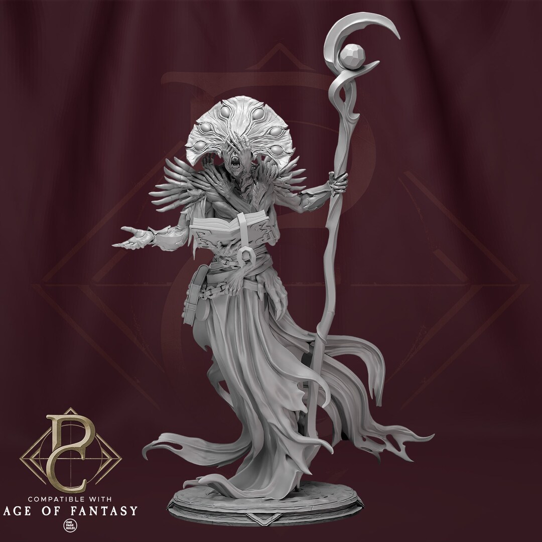 The Sorcerer | 100mm Resin Miniature | 14K Resolution | Dnd ...