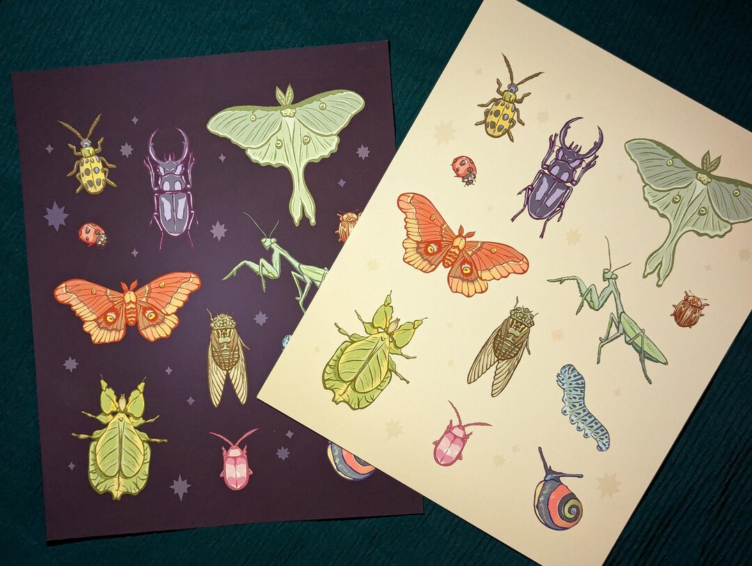 Bugs! Print | 8"x10" Matte Print | Cottagecore Bugs Insects Butterfly ...