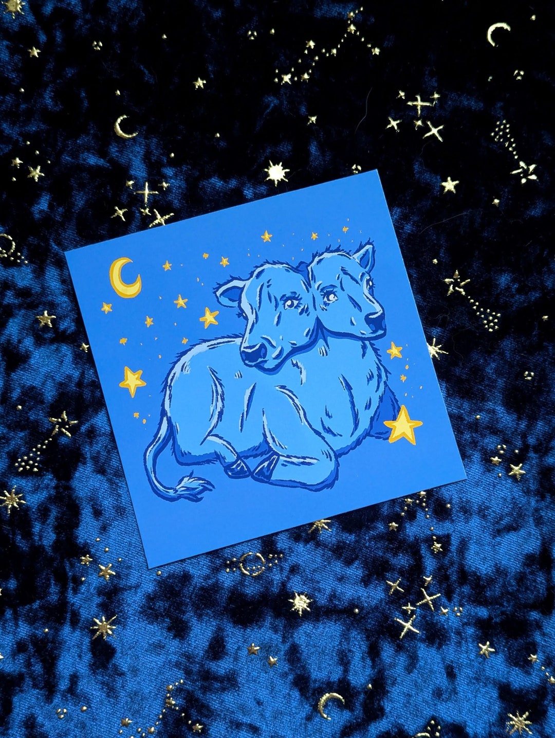 2 Headed Cow Mini Print | 5x5 Matte Print | Poem Two-headed Calf Stars ...