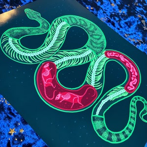 Snake X-ray Art Whimsigoth Aesthetic Gothic Creepy Wall Art Cottagecore ...