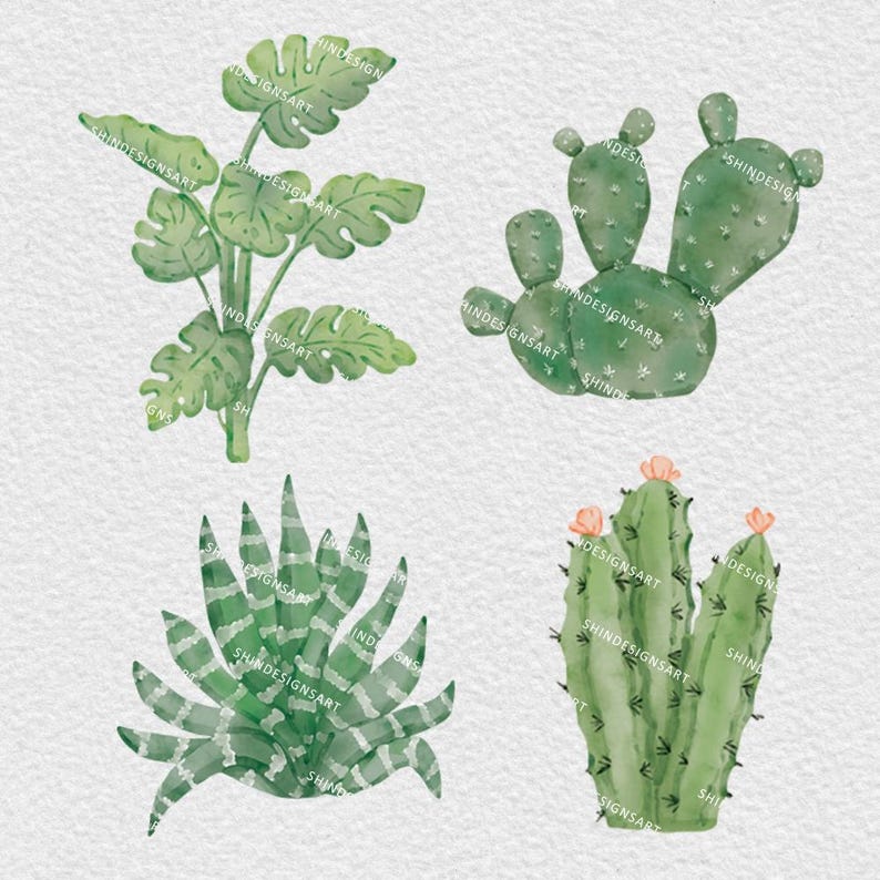 Watercolor Boho House Plant Clipart, Hand Drawn Home Plants Bundle ...