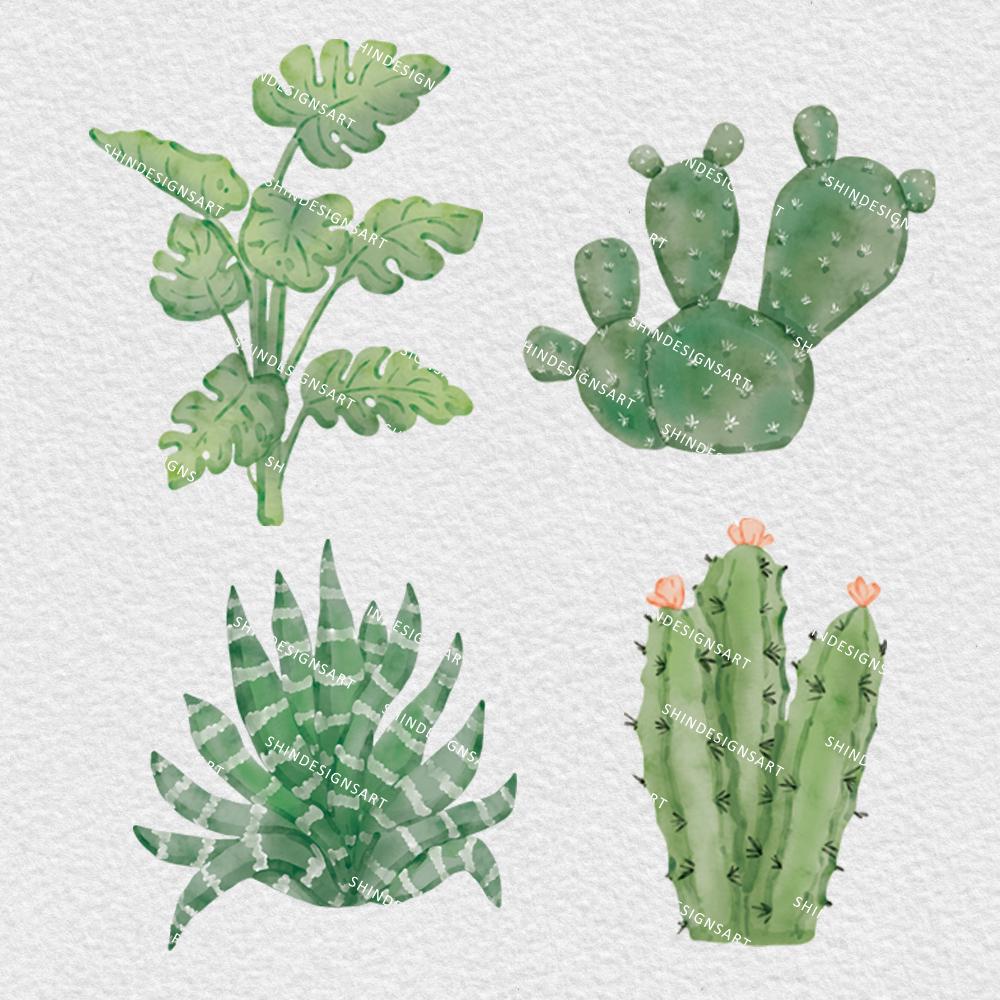 Watercolor Boho House Plant Clipart, Hand Drawn Home Plants Bundle ...