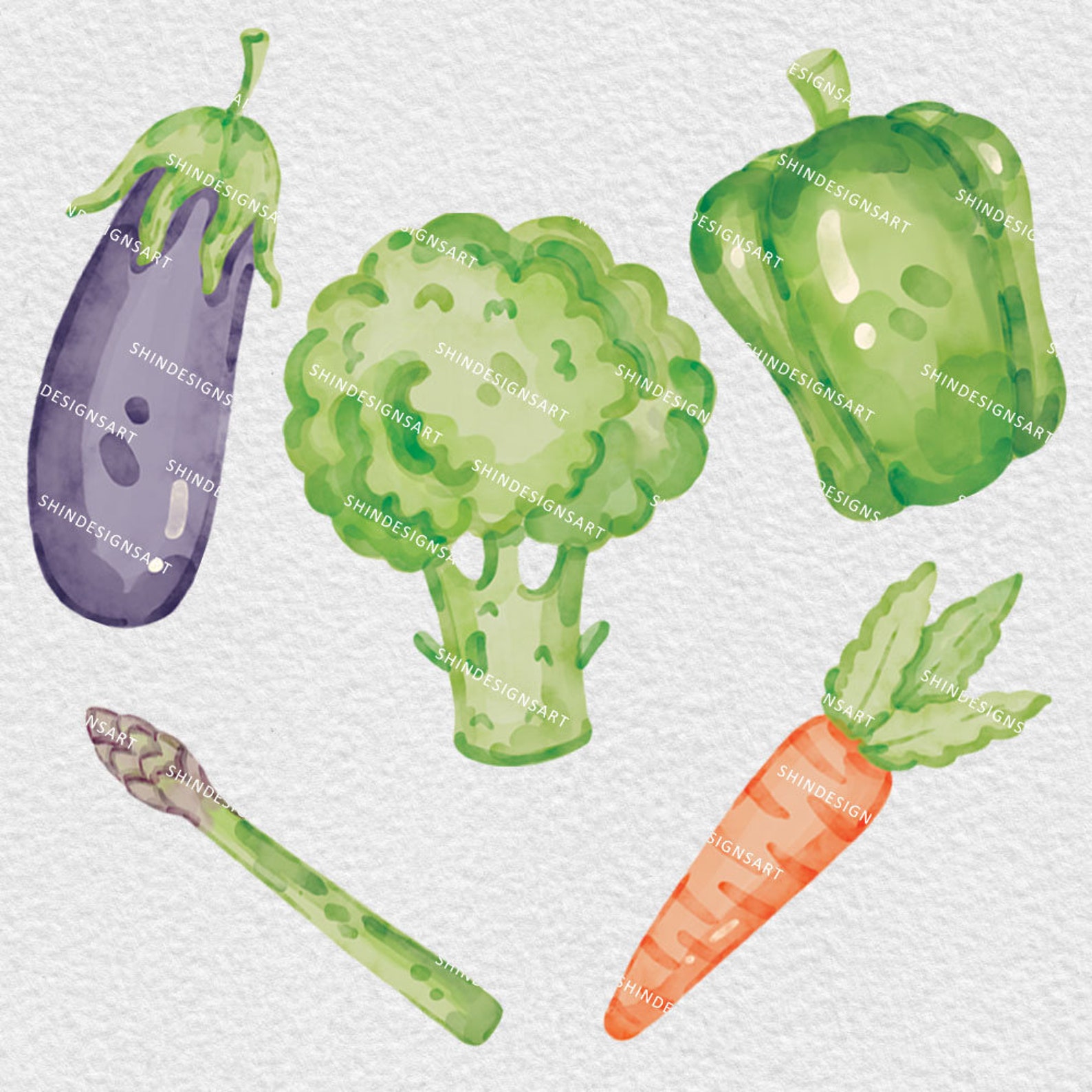 Watercolor Vegetable Clipart, Digital Download, Printable High ...