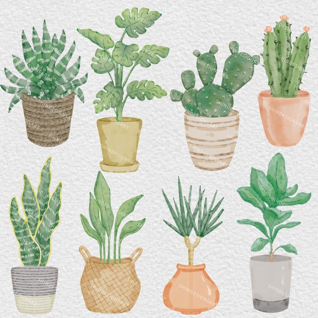 Watercolor Boho House Plant Clipart, Hand Drawn Home Plants Bundle ...