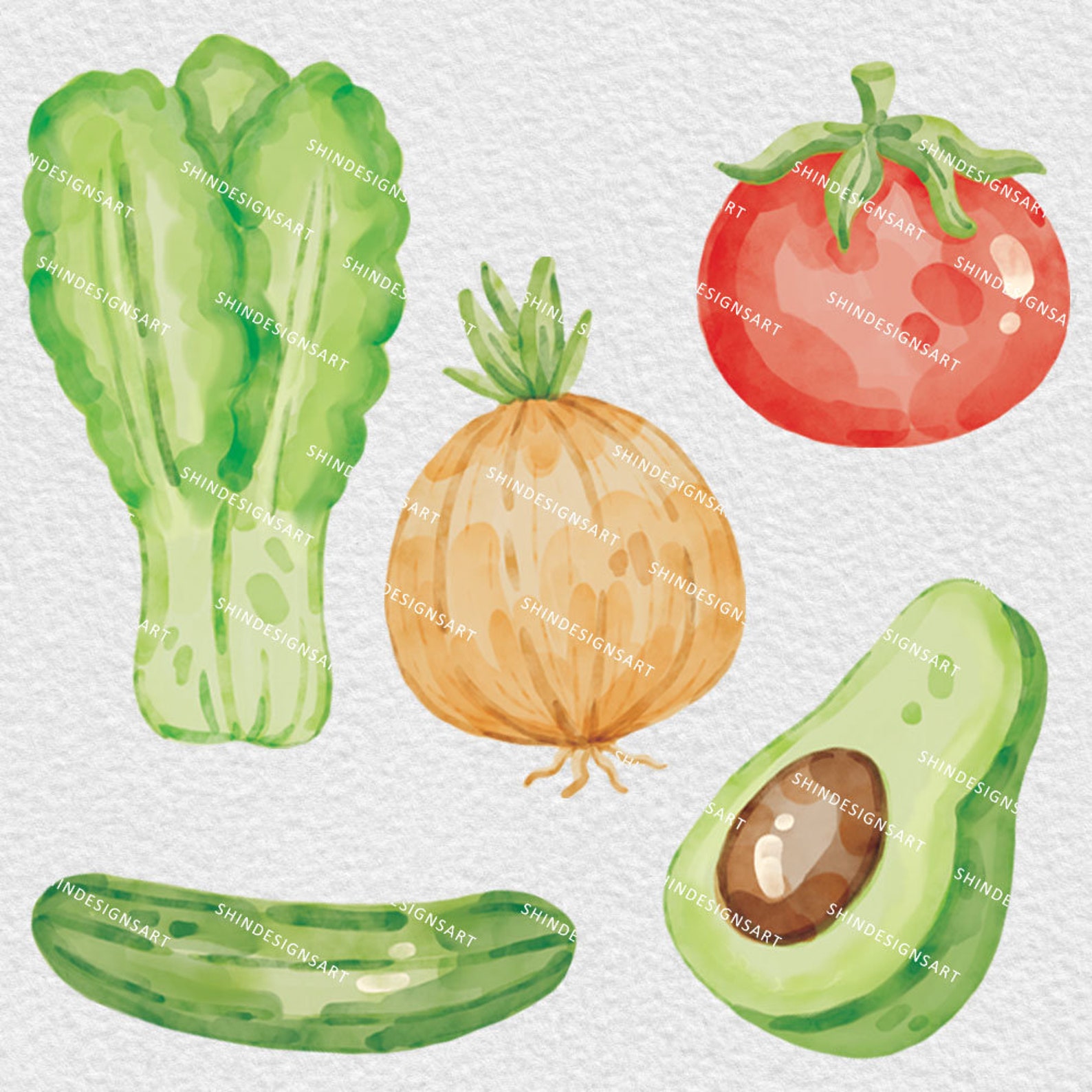 Watercolor Vegetable Clipart, Digital Download, Printable High ...
