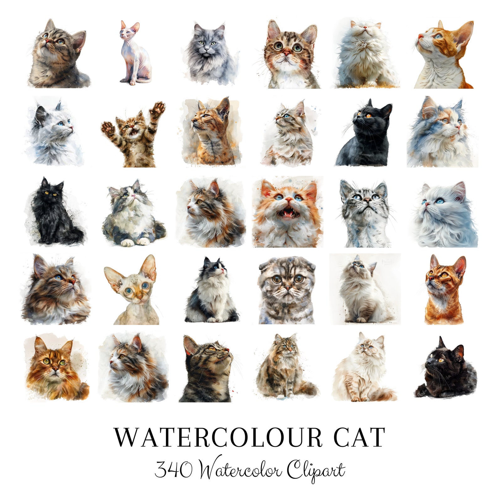 340 Cat Stickers Clipart Bundle, Watercolor Cats Clipart Sublimation ...