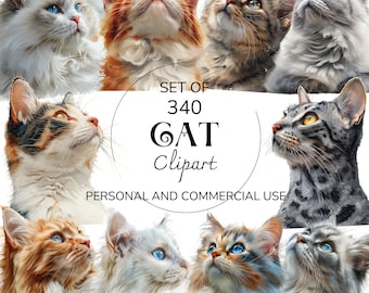 Cats PNG Bundle Cat Breed Clip Art Bundle With 26 Detailed Cat ...