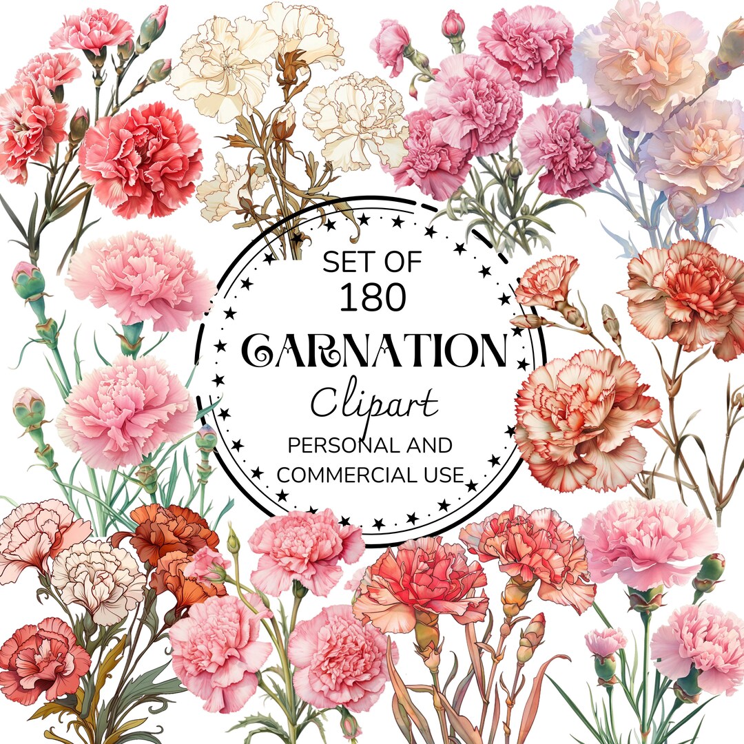 Different Styles of Carnation, Carnation for Mather's Day, Silhouette ...