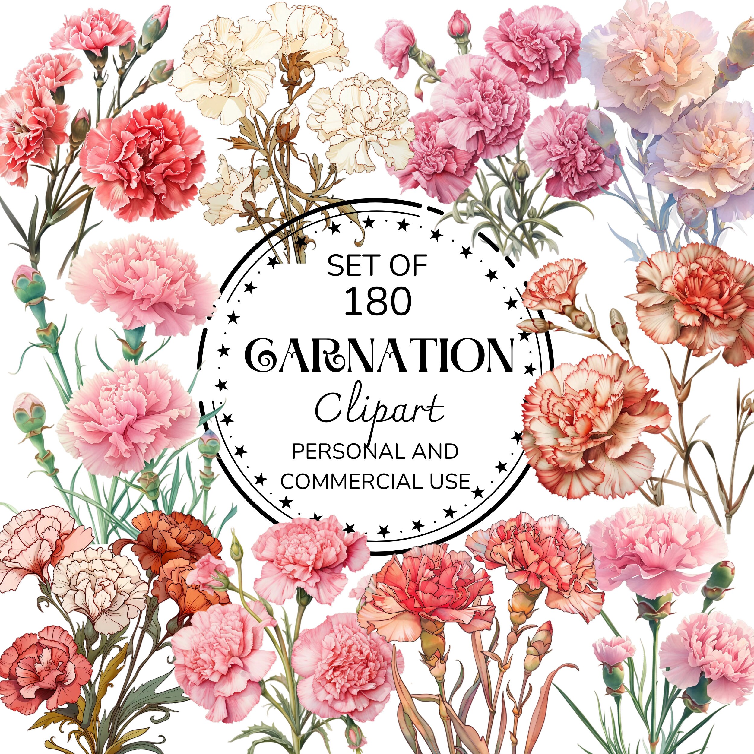 Different Styles of Carnation, Carnation for Mather's Day, Silhouette ...