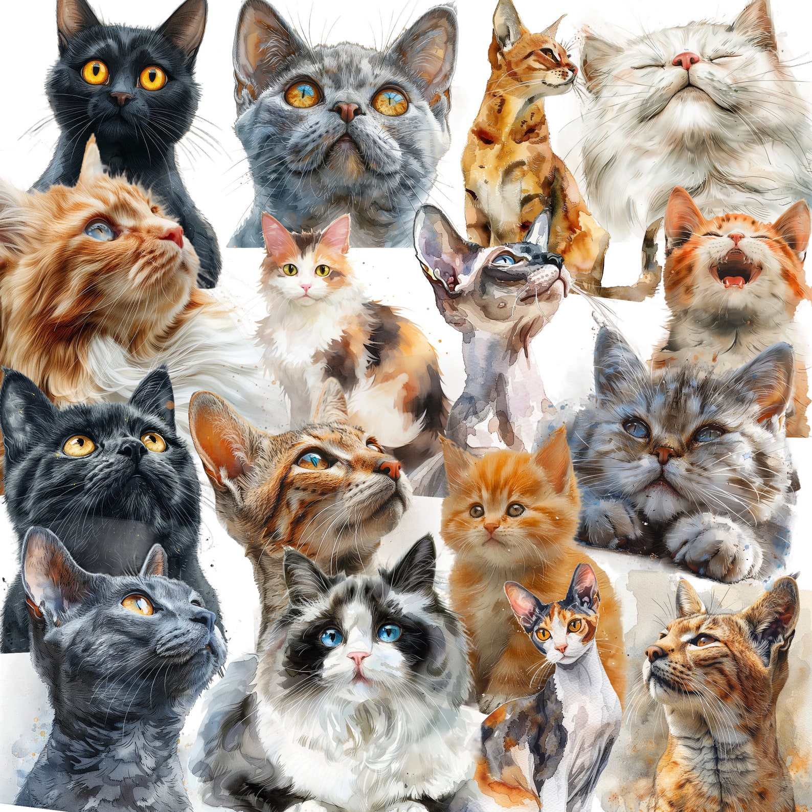 340 Cat Stickers Clipart Bundle, Watercolor Cats Clipart Sublimation ...