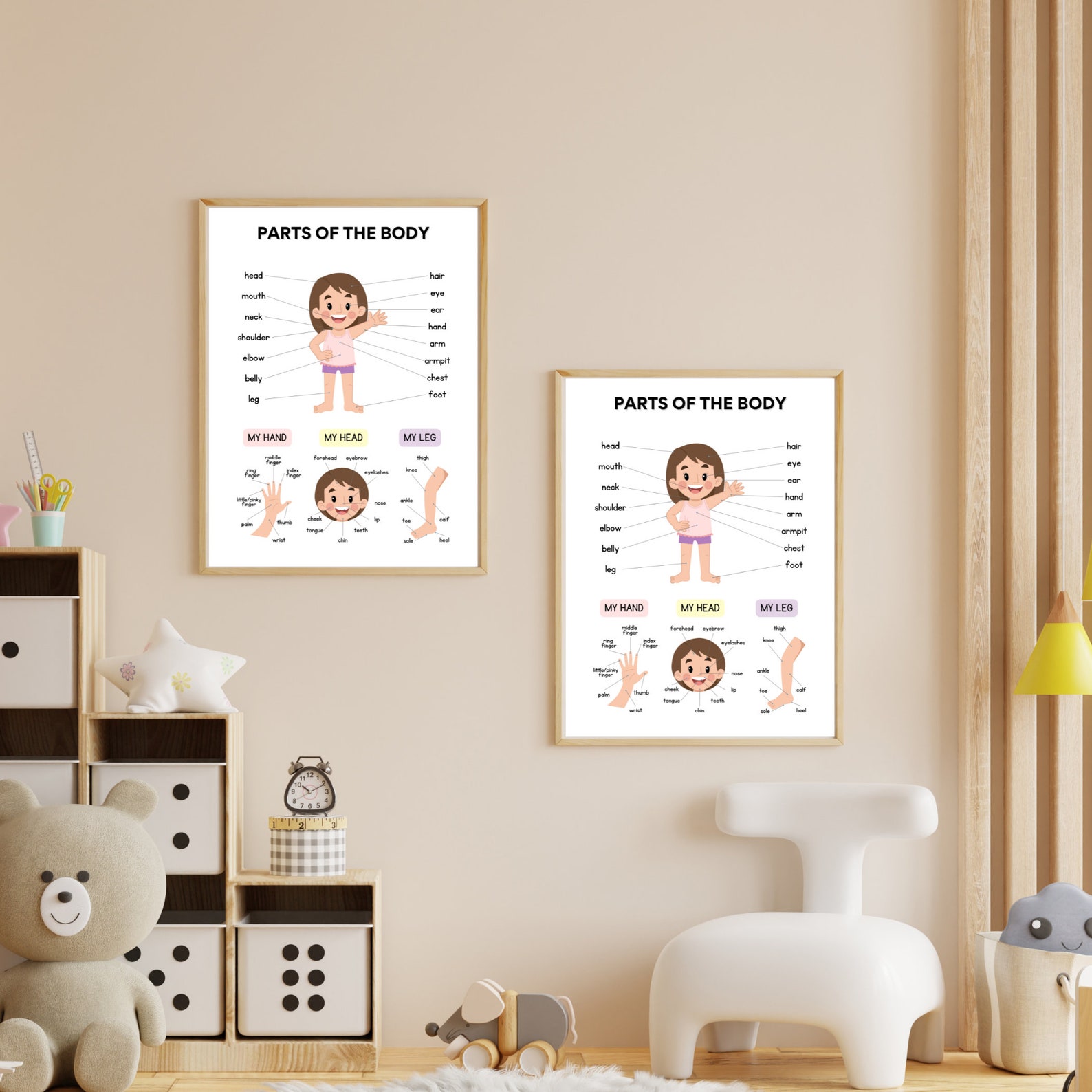 Parts of the Body Educational Poster: Anatomy Learning (digital ...