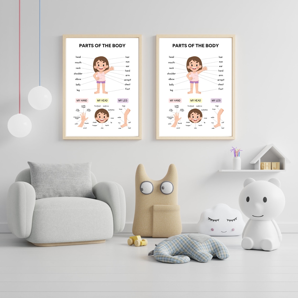 Parts of the Body Educational Poster: Anatomy Learning (digital ...