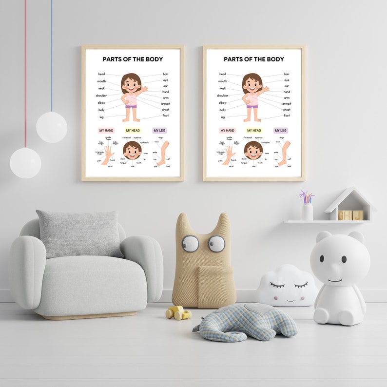 Parts of the Body Educational Poster: Anatomy Learning (digital ...