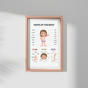 Parts of the Body Educational Poster: Anatomy Learning (digital ...