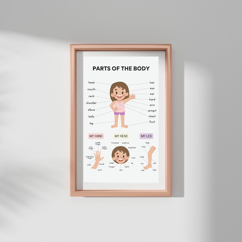 Parts of the Body Educational Poster: Anatomy Learning (digital ...