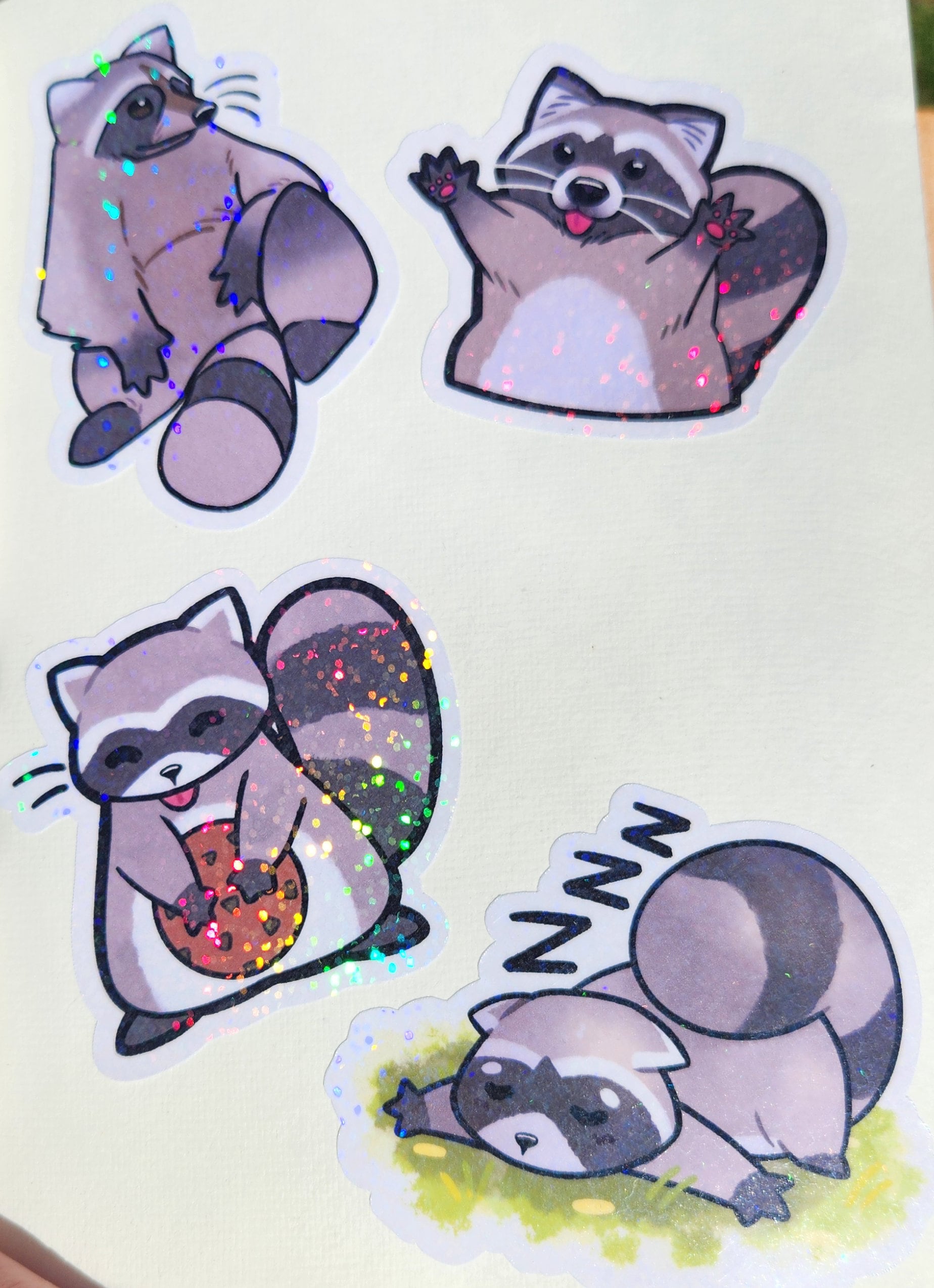 Cartoon Raccoon Sticker Pack - Etsy