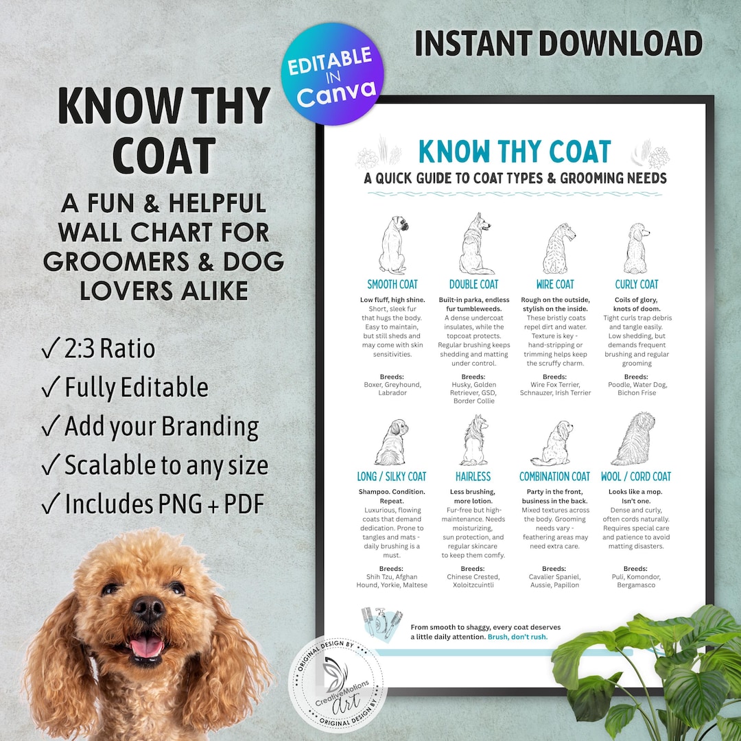 Dog Grooming Poster: Coat Types Chart for Groomers (digital Download ...