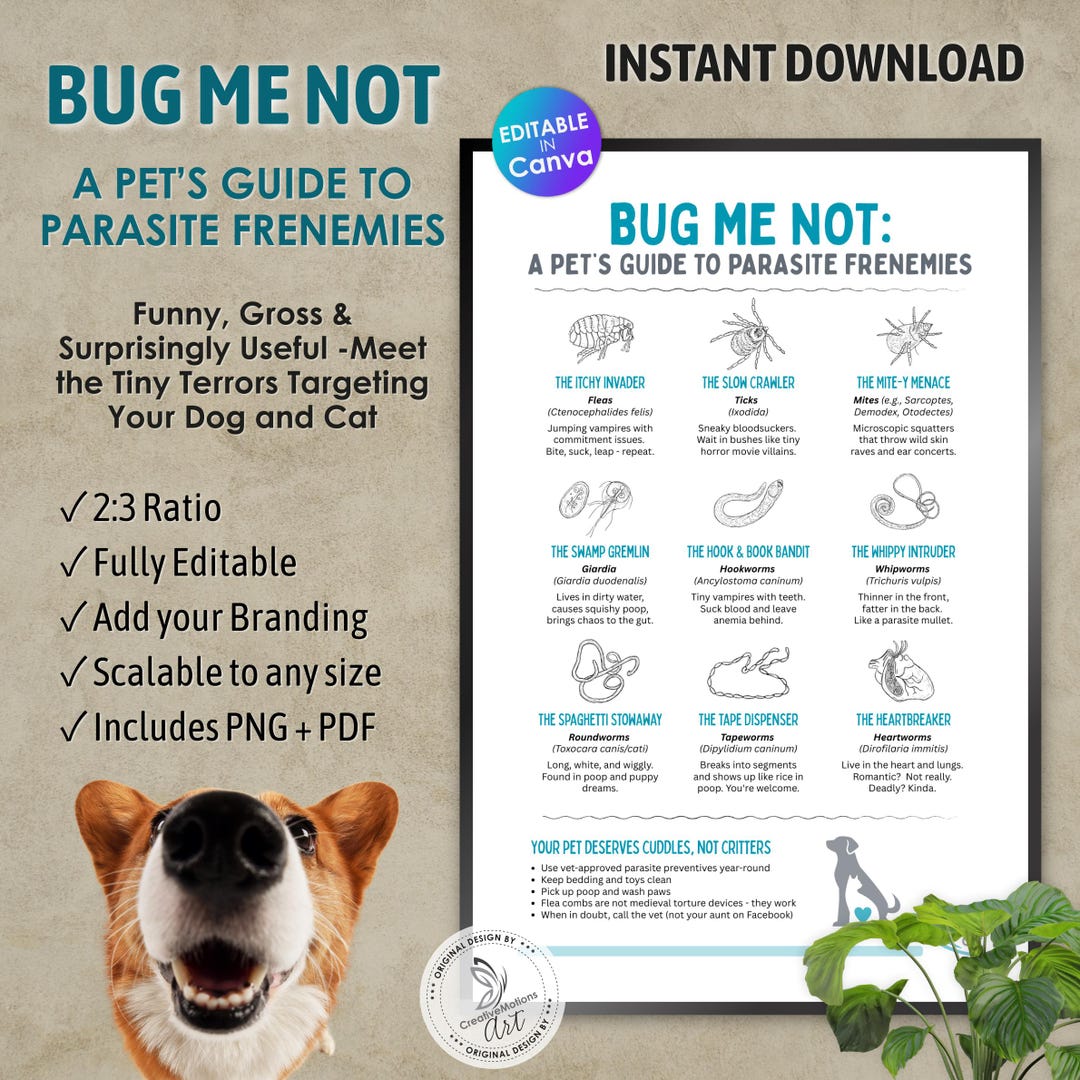 Funny Parasites Chart for Pet Owners: Vet Clinic Wall Art (digital ...