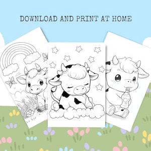 Cute Highland Cow Coloring Book for Kids, Fun Activity Coloring ...