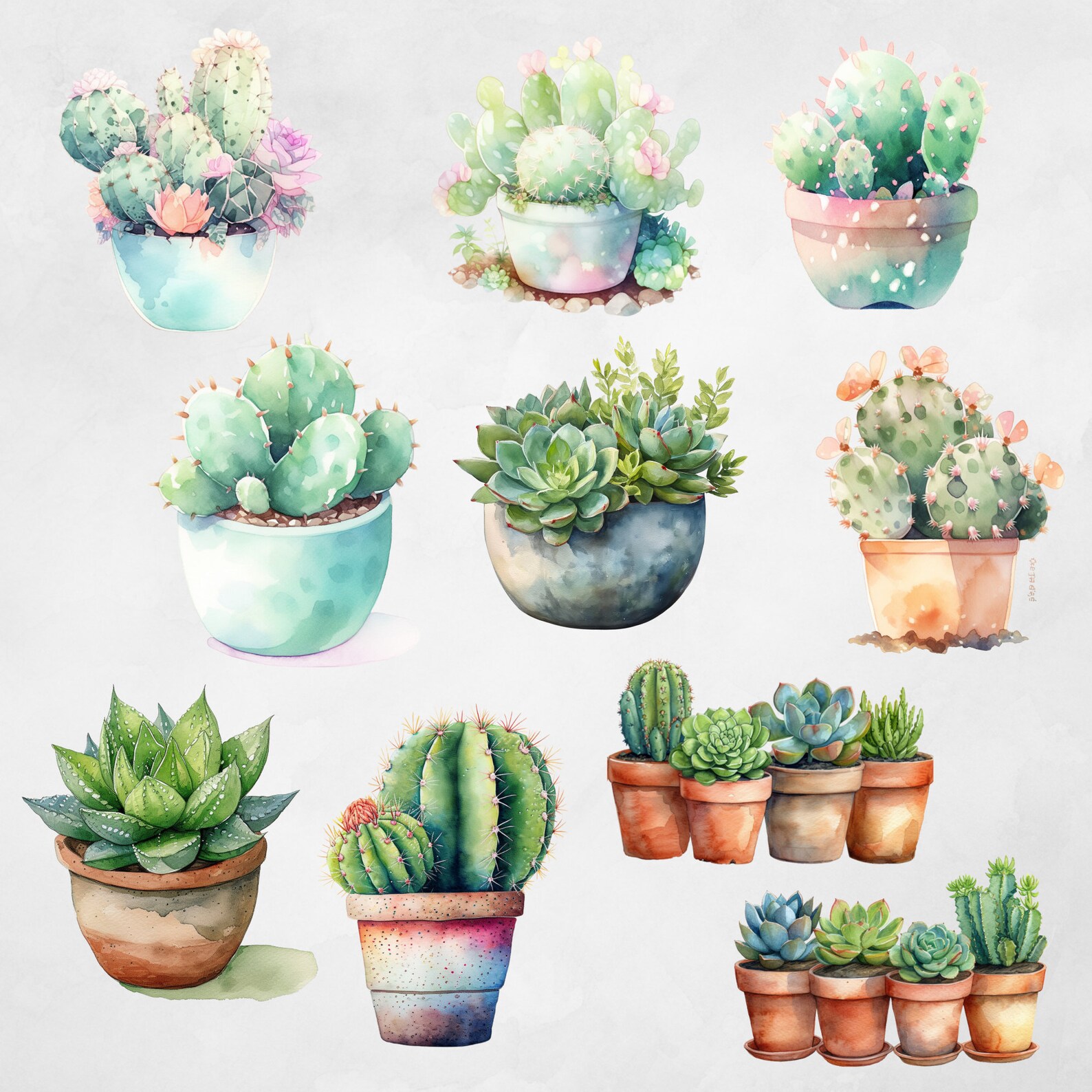 Watercolor Cactuses Clipart, 10 High Quality PNG Files, Succulents ...