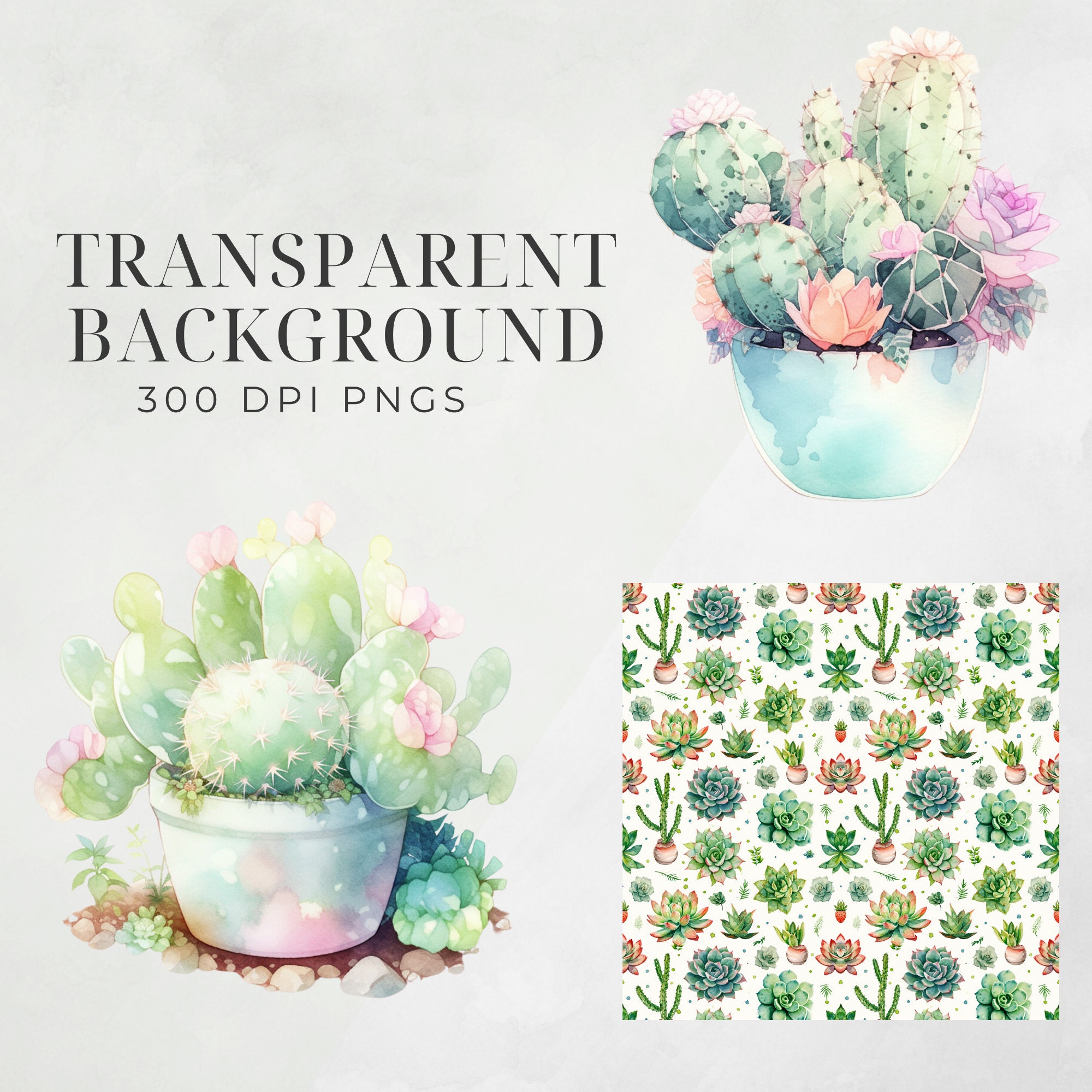 Watercolor Cactuses Clipart, 10 High Quality PNG Files, Succulents ...