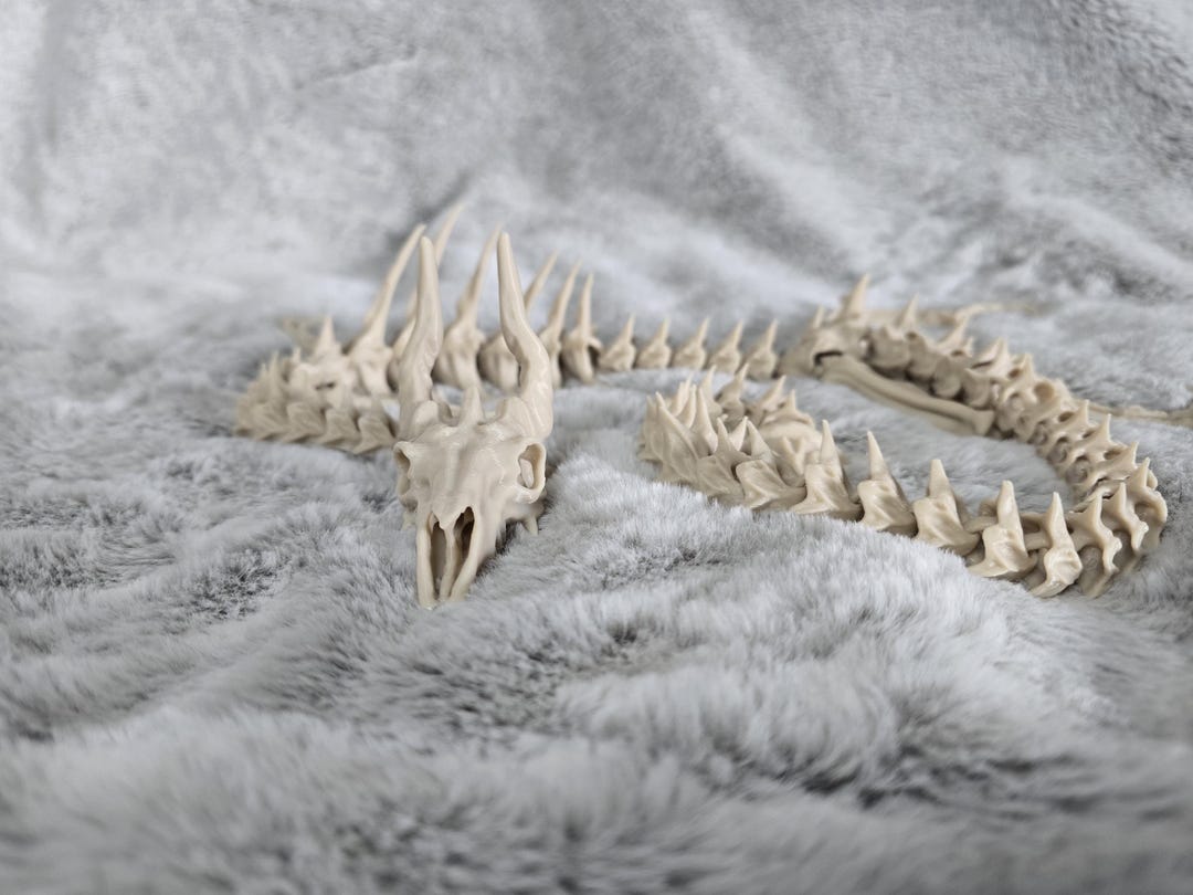 Articulated Dragon | Skeleton Dragon | Articulated Skeleton | 3D ...