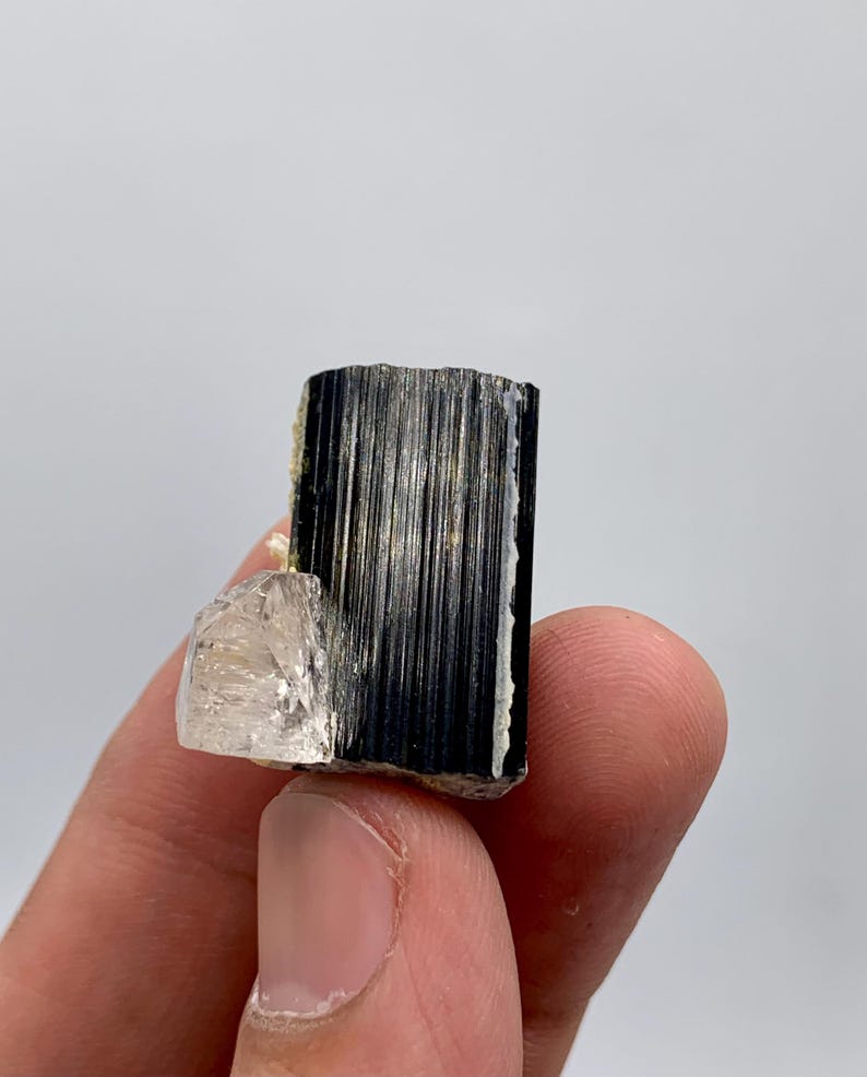Black Tourmaline With Topaz Crystal, Pakistan Mineral Specimen (71 ...