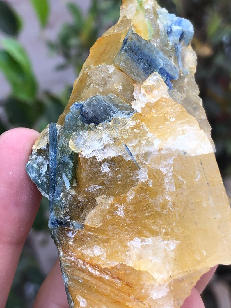 Rare Kyanite Crystals in Quartz: Spiritual Healing Stone From Pakistan ...