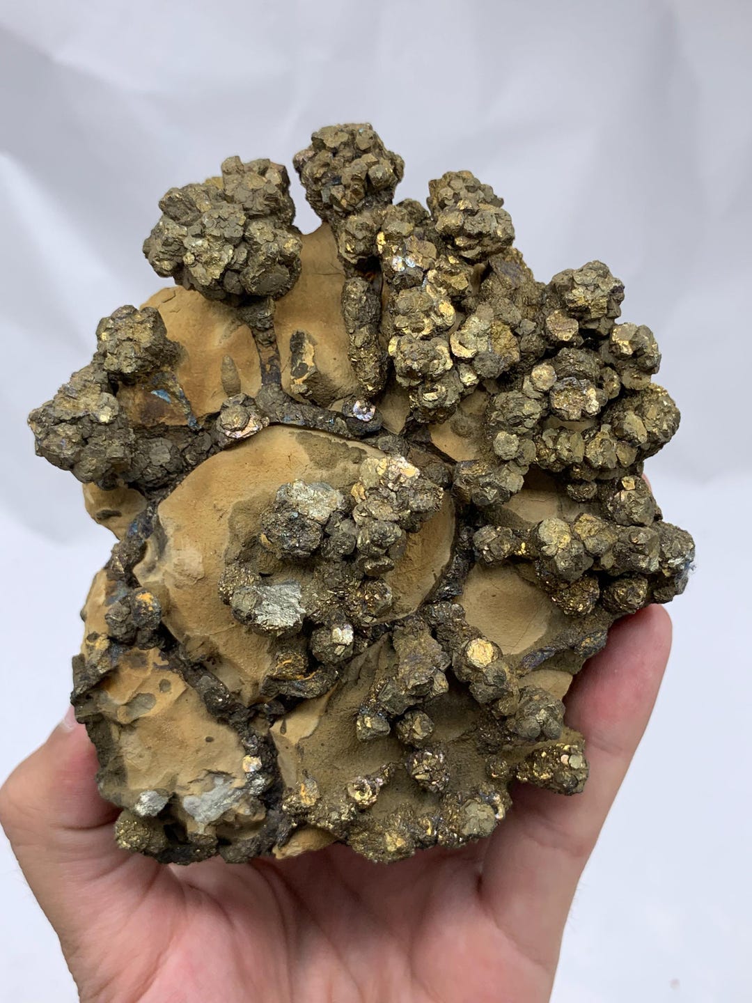 Rare Pyrite Marcasite Specimen, Unique Crystal Mineral From Pakistan ...