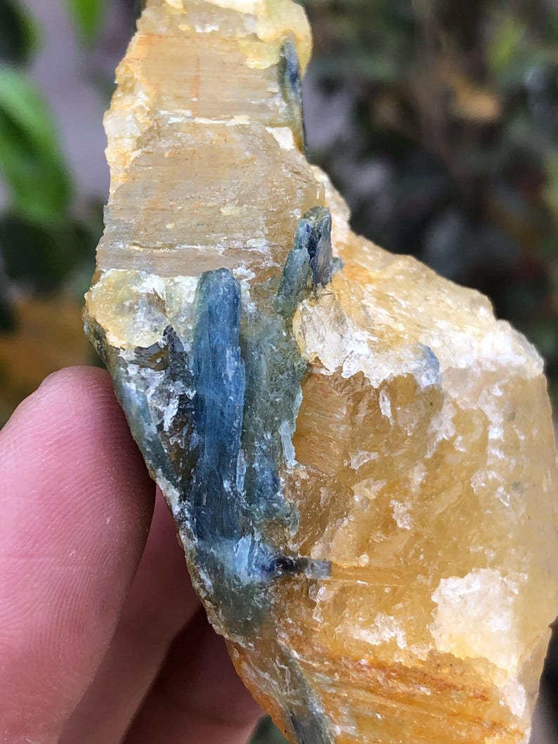 Rare Kyanite Crystals in Quartz: Spiritual Healing Stone From Pakistan ...