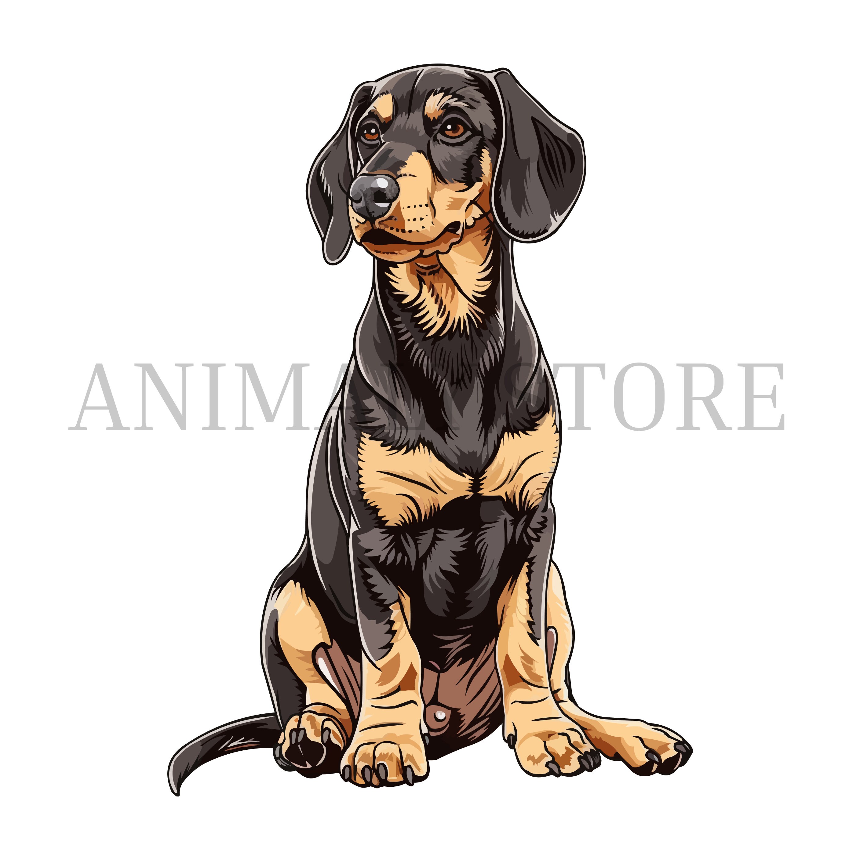 Dachshund SVG Png Bundle, Wiener Dog SVG Sitting Dachshund Clipart ...