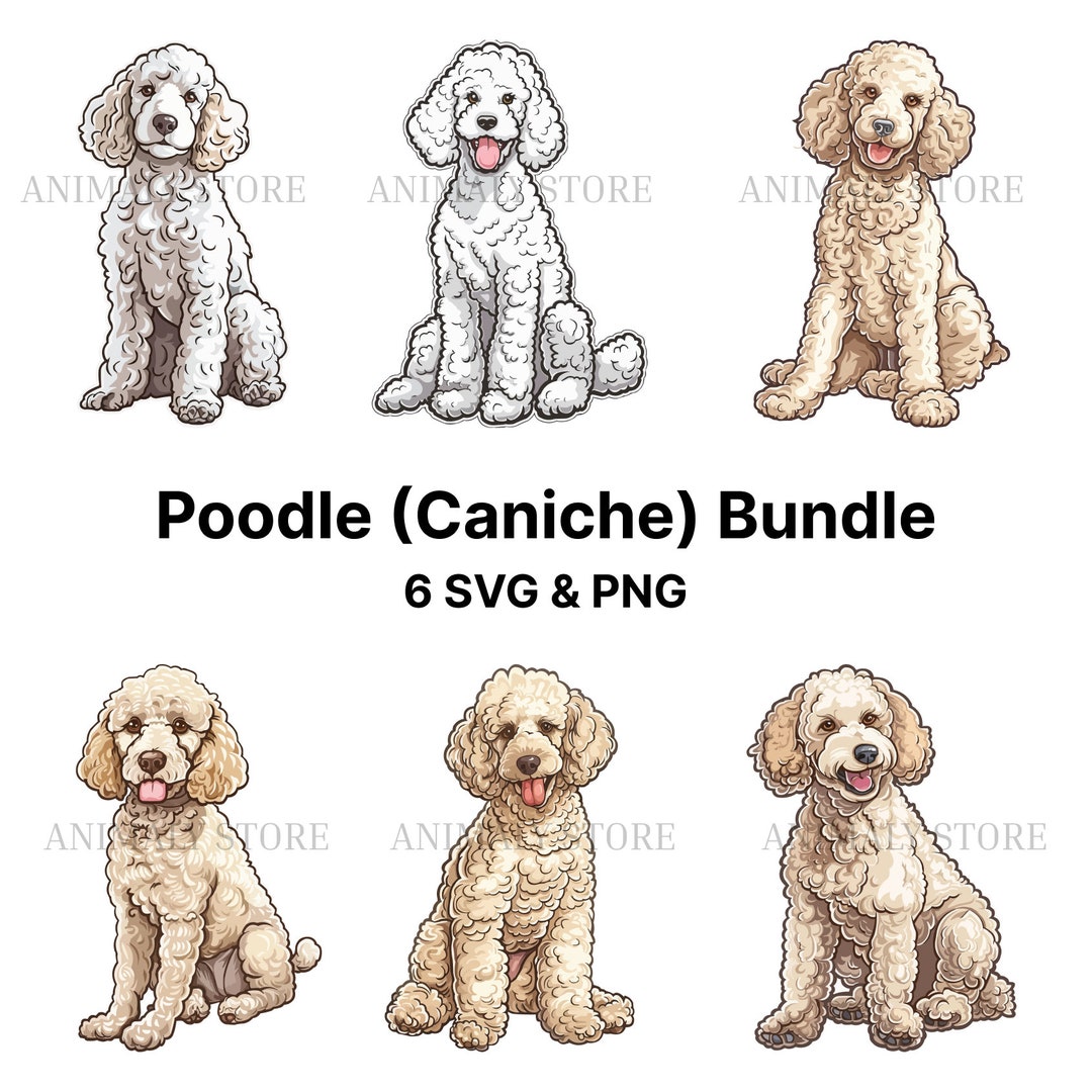 Poodle SVG Png Bundle, Sitting Poodle Clipart, Miniature Poodle SVG ...
