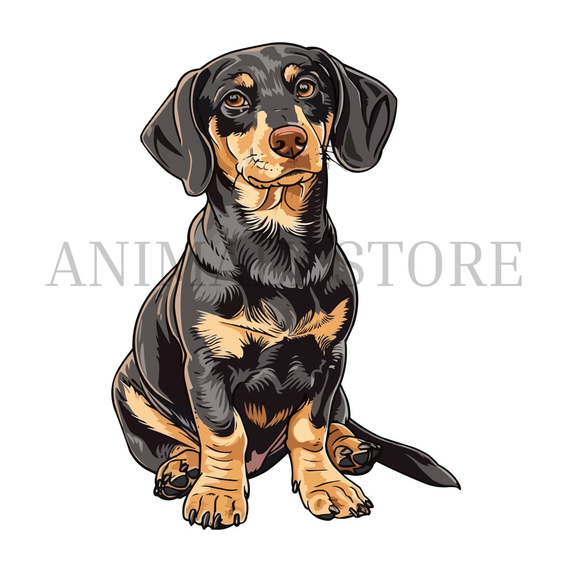 Dachshund SVG Png Bundle, Wiener Dog SVG Sitting Dachshund Clipart ...